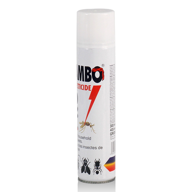 Rambo Aerosol Flies Crawling Insect Spray Household Insecticide Roach ...